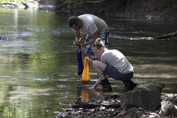 The true riches of Alabama's most precious stone - Paint Rock Forest ...